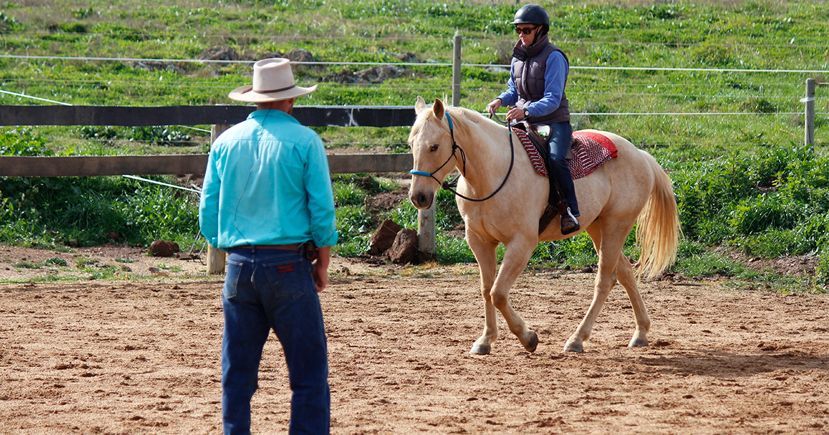Mark Langley Horsemanship Clinic Calendar