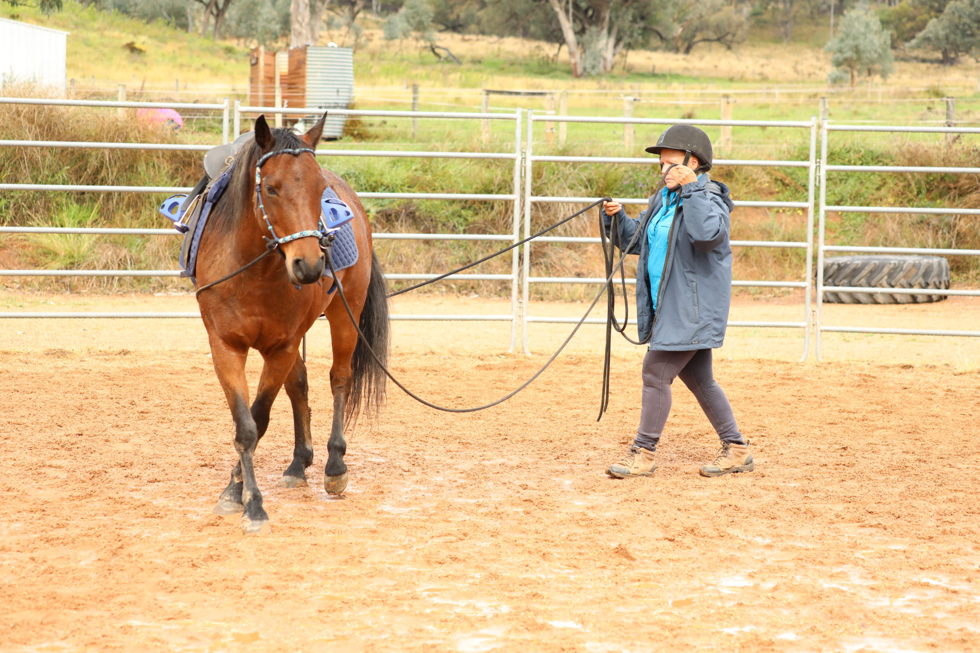 Buy Horse long reins Long reins Mark Langley Horsemanship