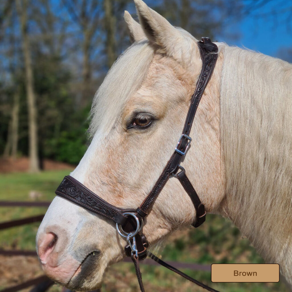 EDIX Sidepull - Mark Langley Horsemanship